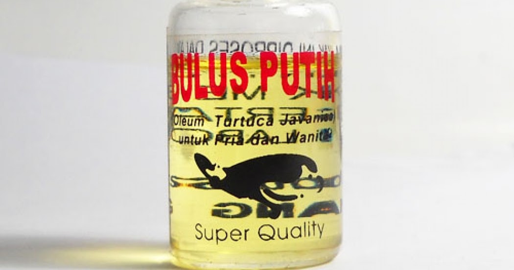 Jual Minyak Bulus Asli di Bandung WA +6285642637694 - Jual Minyak Bulus ...