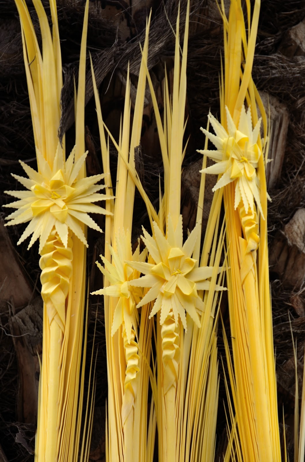 Parroquia de Sevilla La Nueva: DOMINGO DE RAMOS 2014