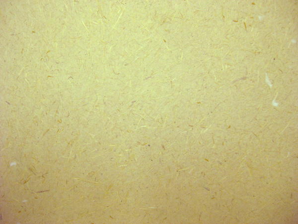 Background Designs: plain background designs