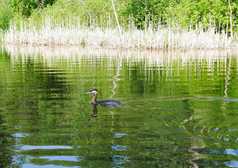 Visiting Family in Prince George - Backwoods Mama