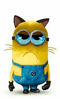 El Blog de los Gatos: Los Minions y los gatos se fusionan!
