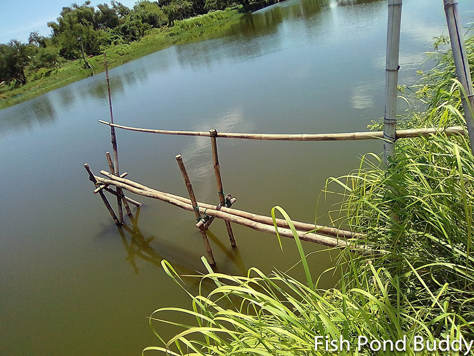 Fish Pond Buddy: How to Make a Milkfish (Bangus) Feeder Device