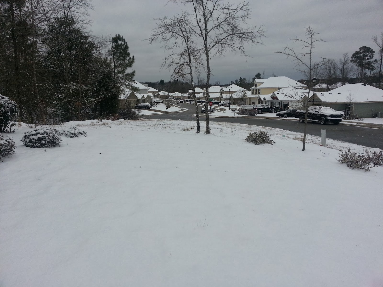 Run. Lift. Conquer.: The Great Georgia Snowpocalypse!