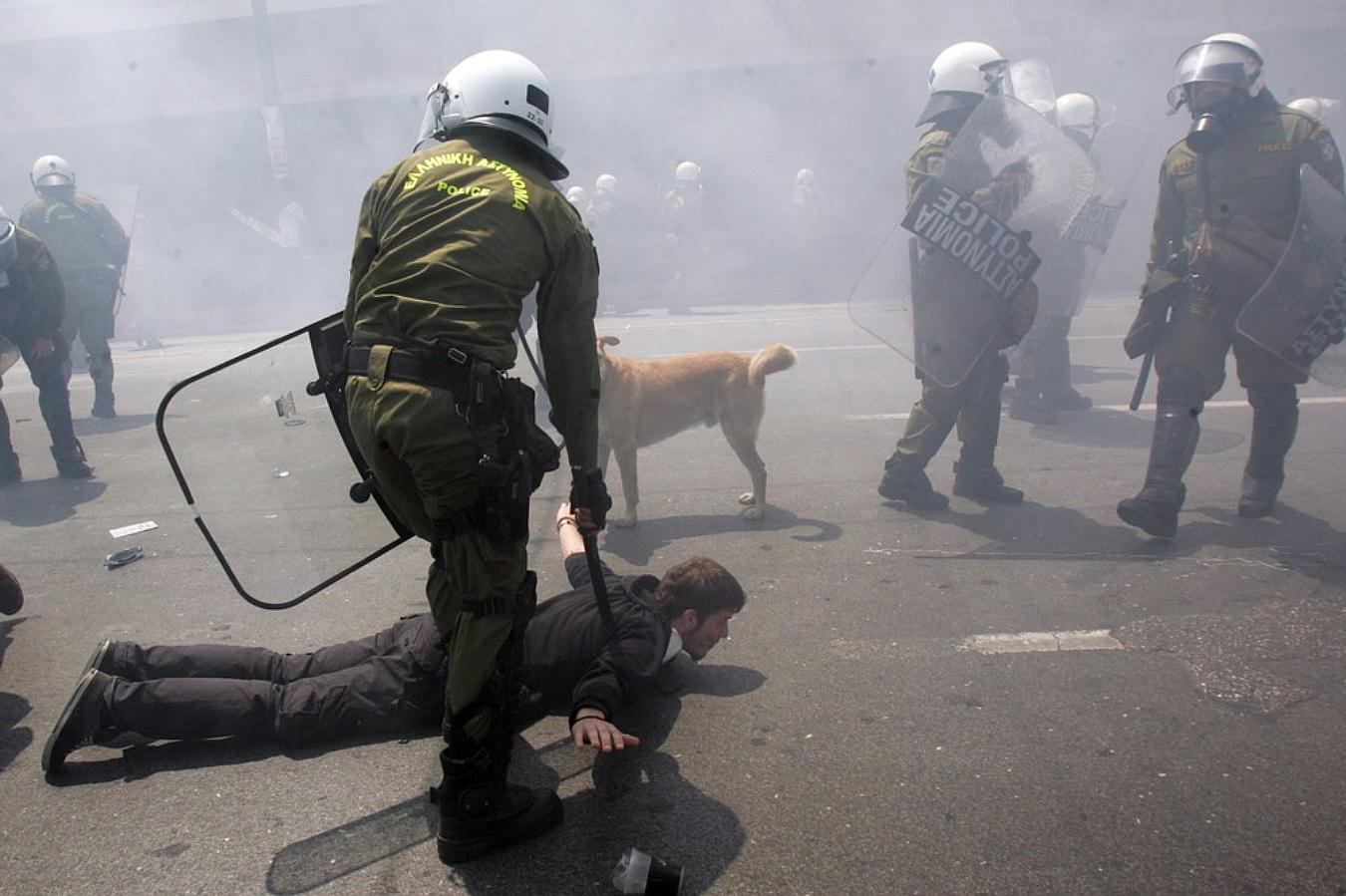 est100 一些攝影(some photos): The Greek riot dog 希臘抗暴犬
