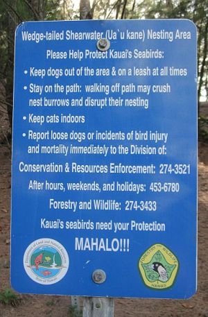 Birding Is Fun!: Kilauea Point National Wildlife Refuge