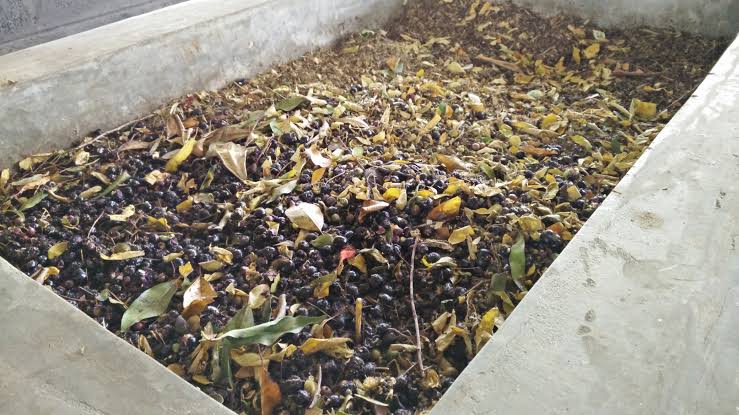 नाडेप कम्पोस्ट बनाने की विस्तृत विधि। The detailed Method of Nadep ...