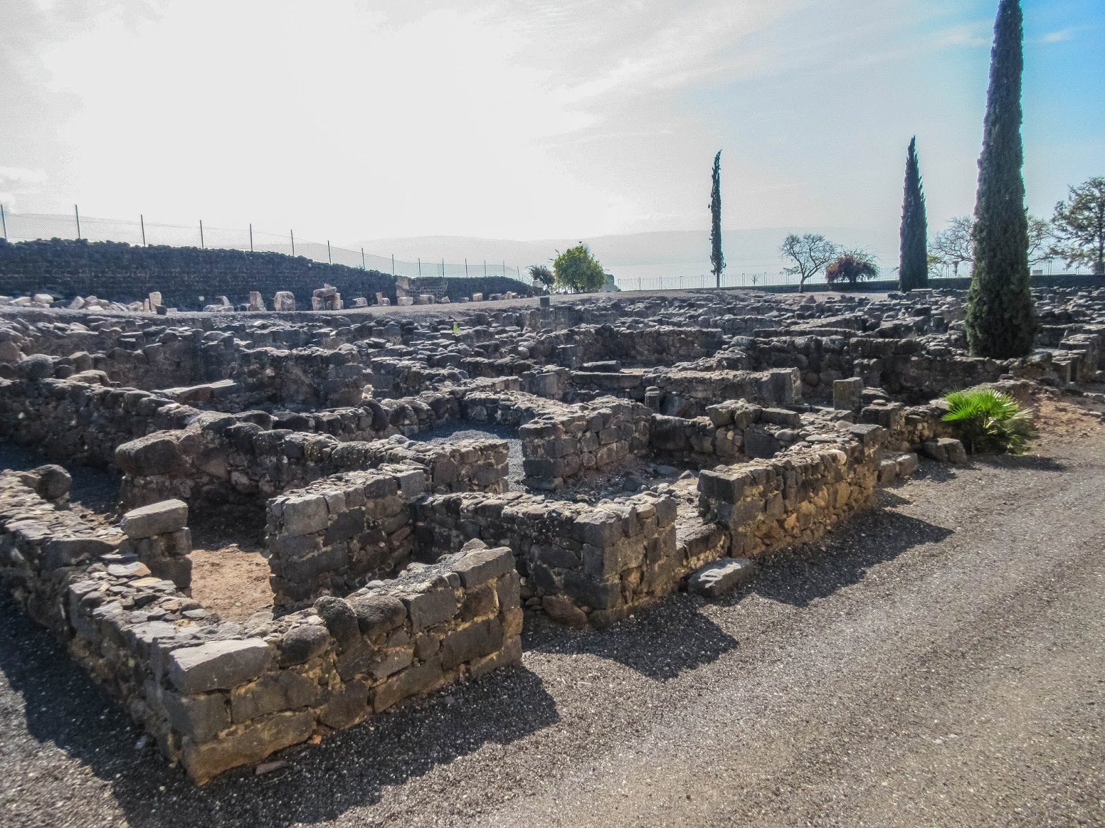 Cannundrums: Capernaum - Synagogue and House of Peter