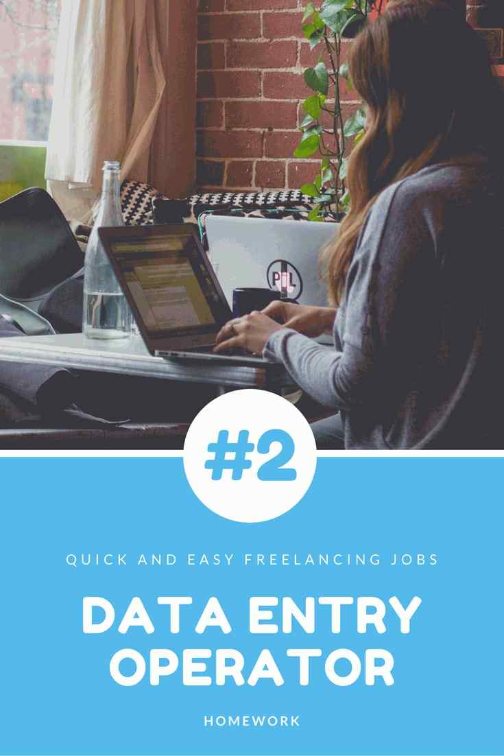 FREELANCER #2 : An Essential Guide To Data Entry Operators - HOMEWORK