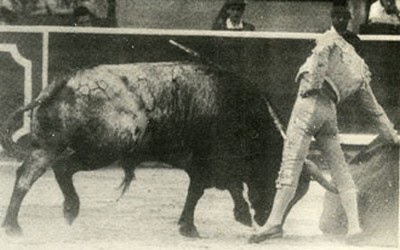 Toro, Torero y Afición: "Un toro tan grande no cabe en la muleta ...