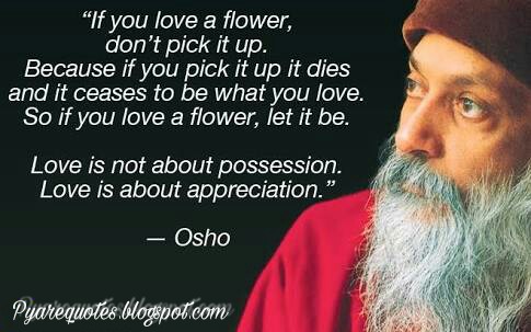 Best Quotes for friends: Osho's quotes on love, life & relationship