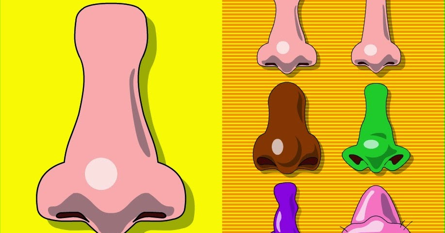 ProfeErnesto : Narices raras