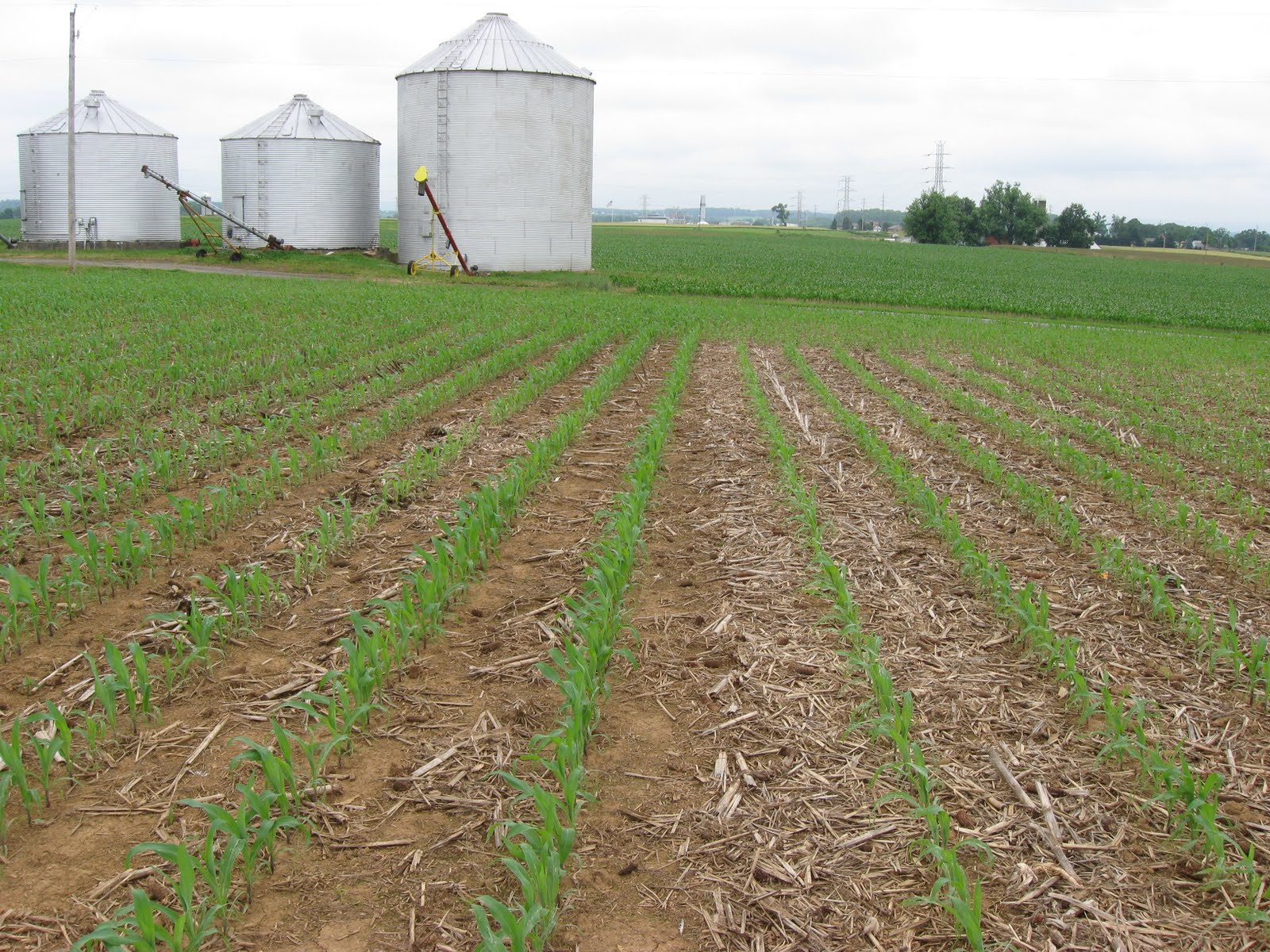 Slug Management and Options- – Lebanon Crop Management
