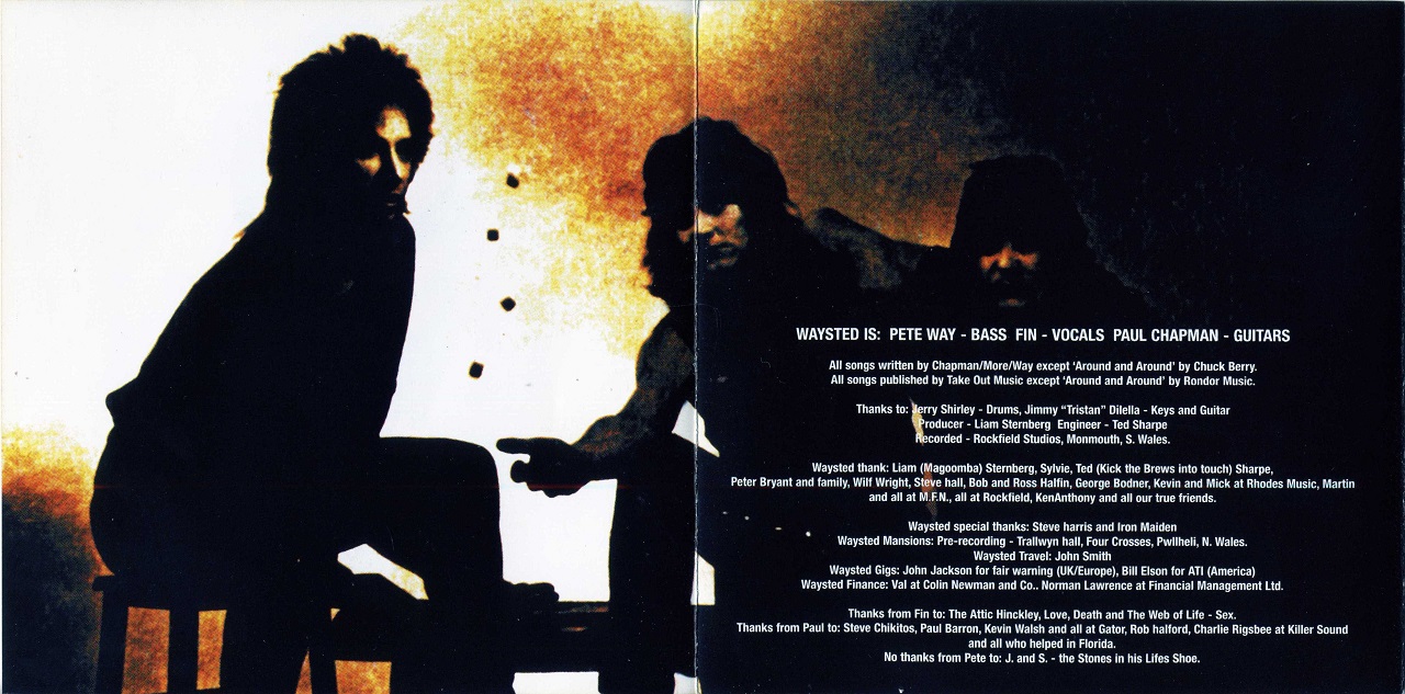 Cries from the Quiet World: Waysted "The Good The Bad The Waysted"