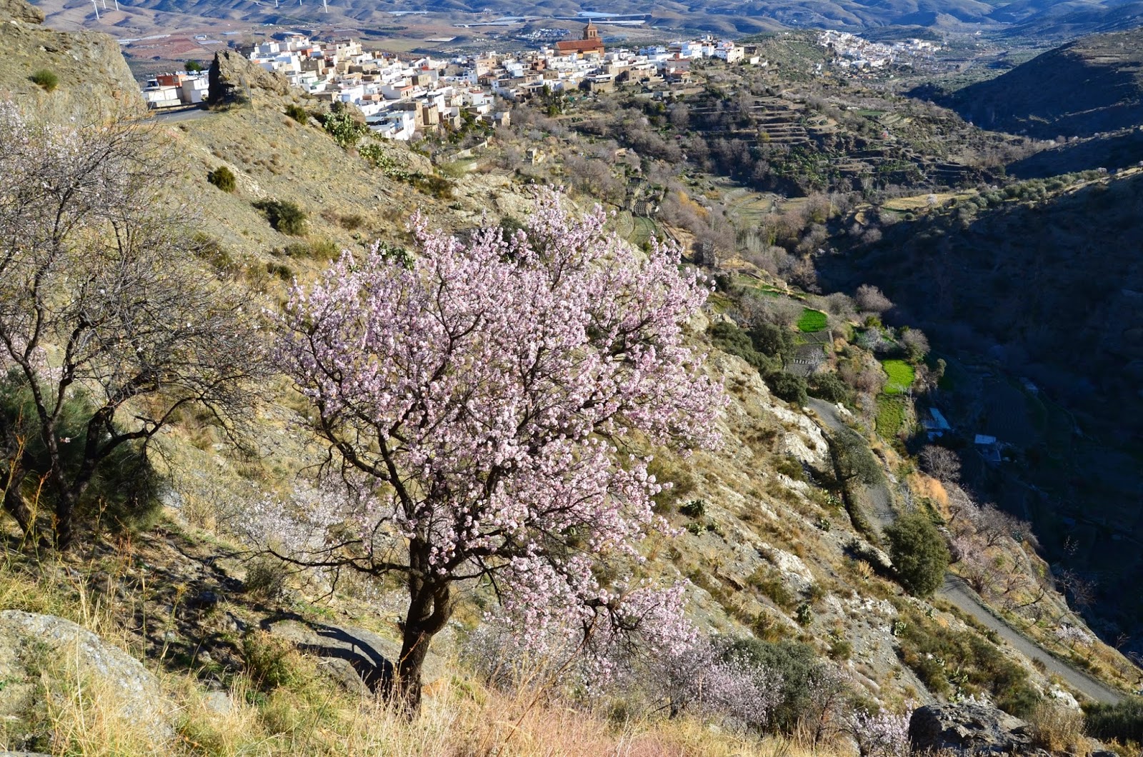 Salidas por Sant Llorenç y Serra L'obac