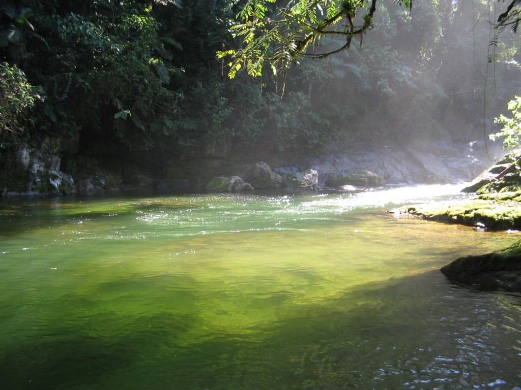 Parque Estadual Carlos Botelho | São Paulo