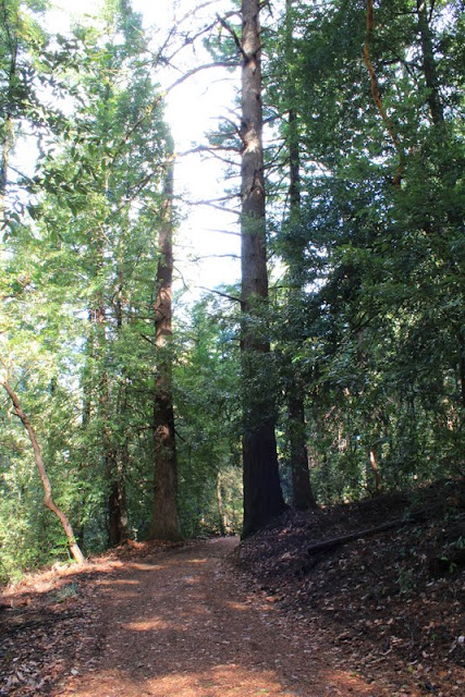 Eye On The View: Sanborn County Park II - Summit Rock Loop Trail