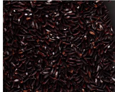 KAJIAN LUBAI: Padi Ketan Hitam