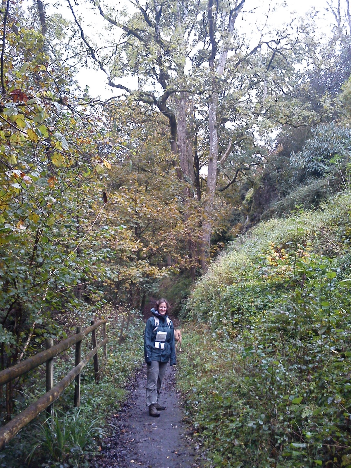 Somerset Scribbles: A walk near Mells