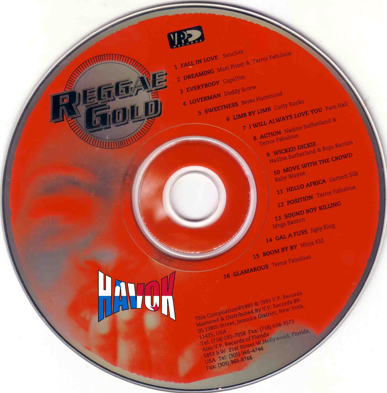 VinylReggaeCollector: VPCD1309 Reggae Gold 1993 - Havok ™¹