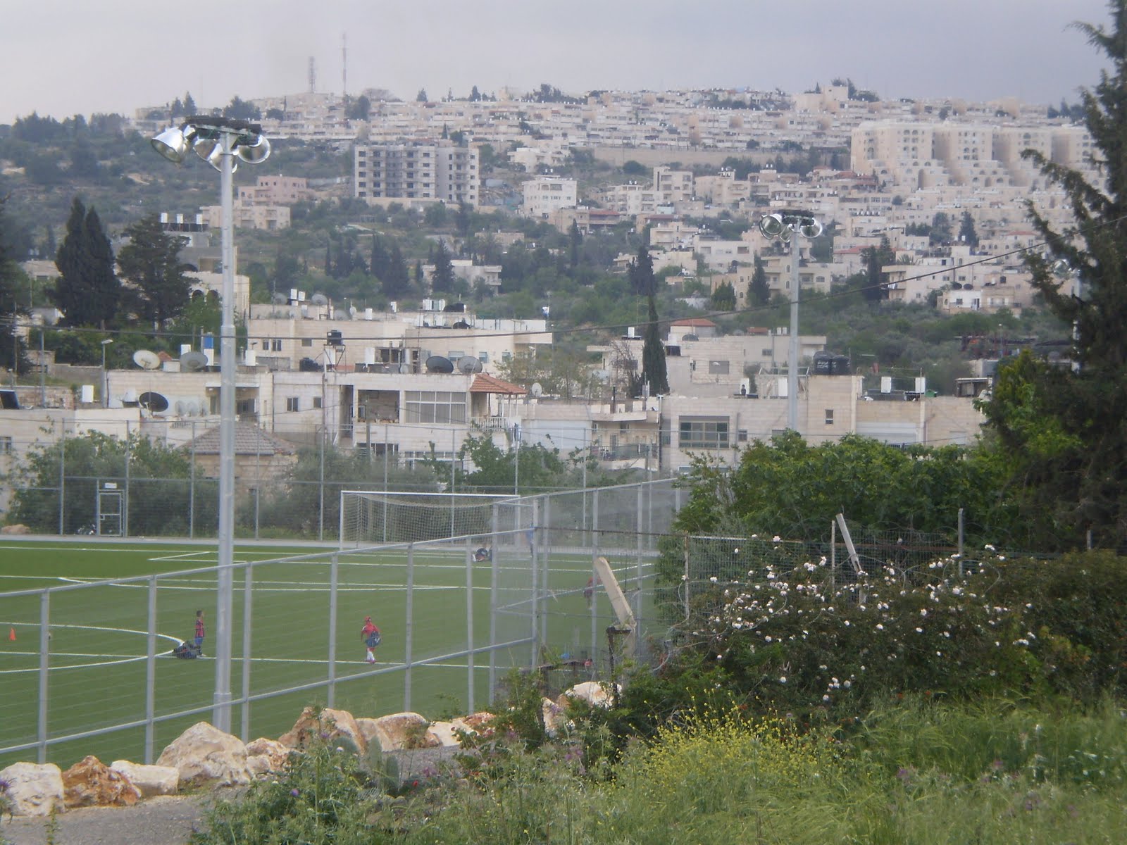 Yaacov Lozowick's Ruminations: Don't Divide Jerusalem: The Curious Case ...