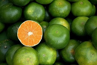 ''kablogztugan ni alvin'': DALANGHITA