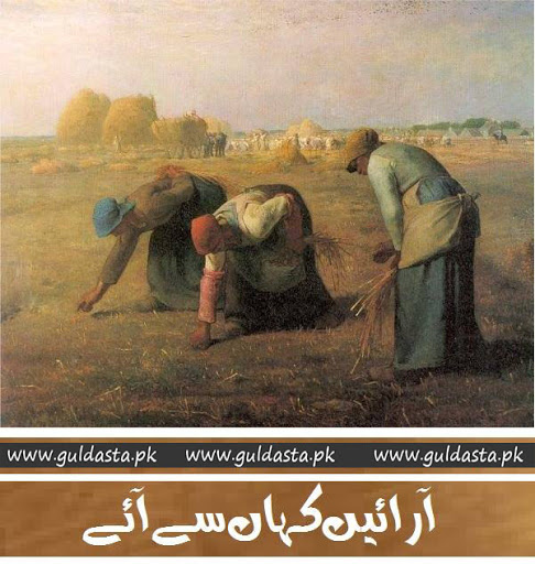 Muslim Punjabi Tribes and their origins | Page 7 | Pakistan Defence