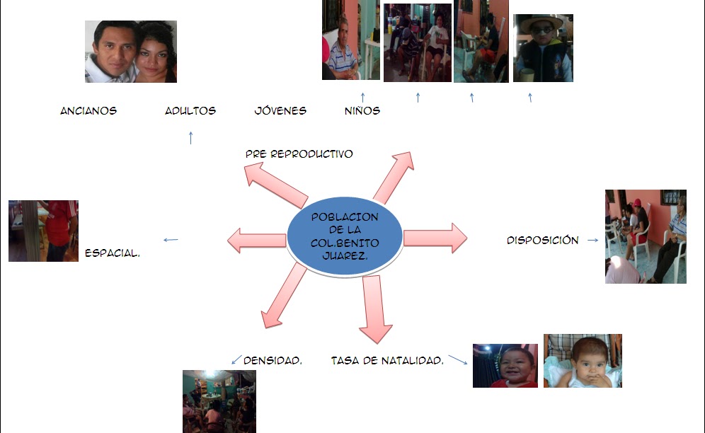NUESTRO MEDIO AMBIENTE: Estructura de un mapa mental de comunidad y ...