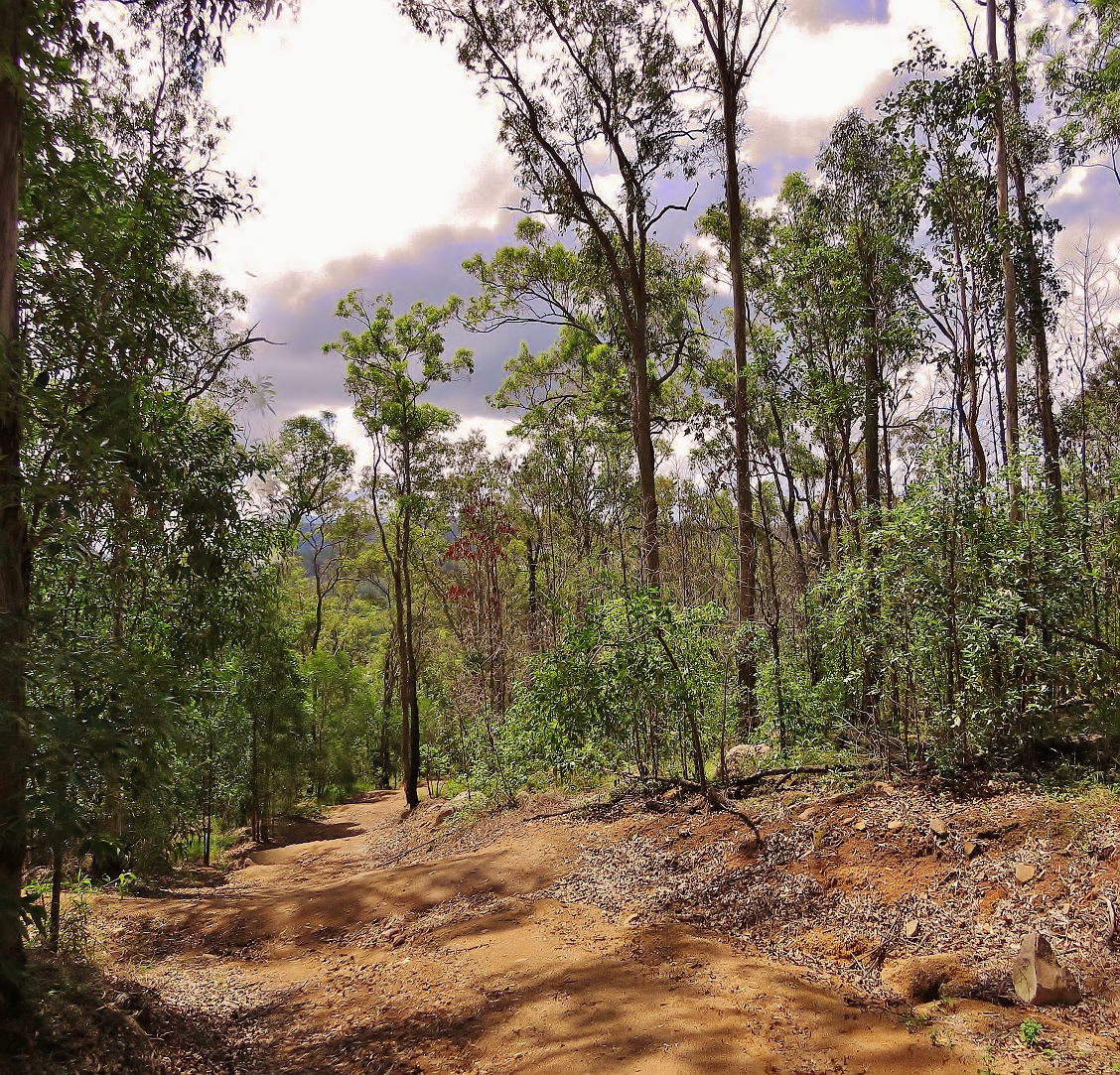 Suburb Guide: Keperra