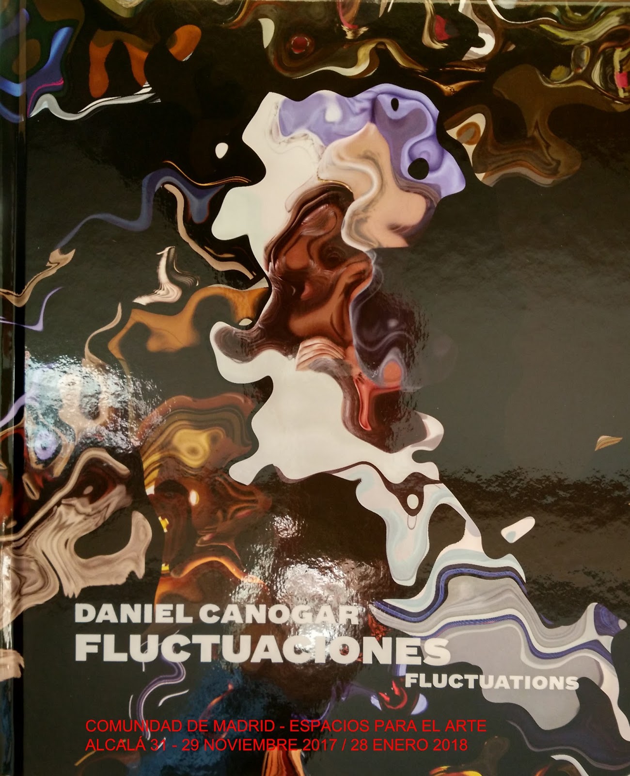 Jesús del Real Amado: DANIEL CANOGAR - FLUCTUACIONES