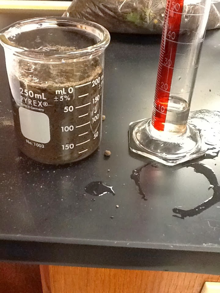 Soil: The Foundation of Life: Soil Porosity Test