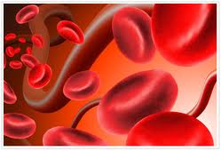 Hematology and Serology