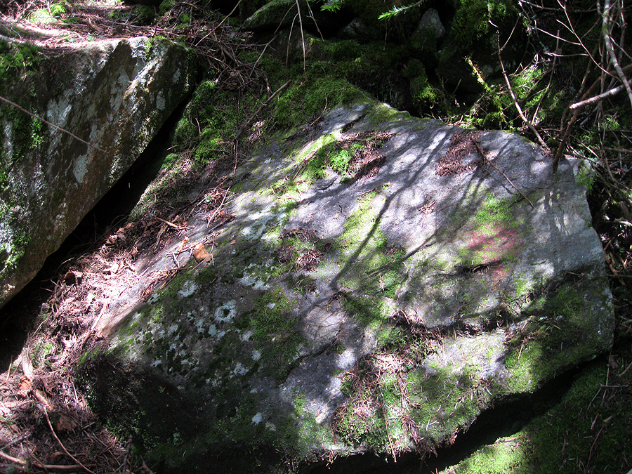 Hiking in the White Mountains: The Abandoned Adams Slide Trail