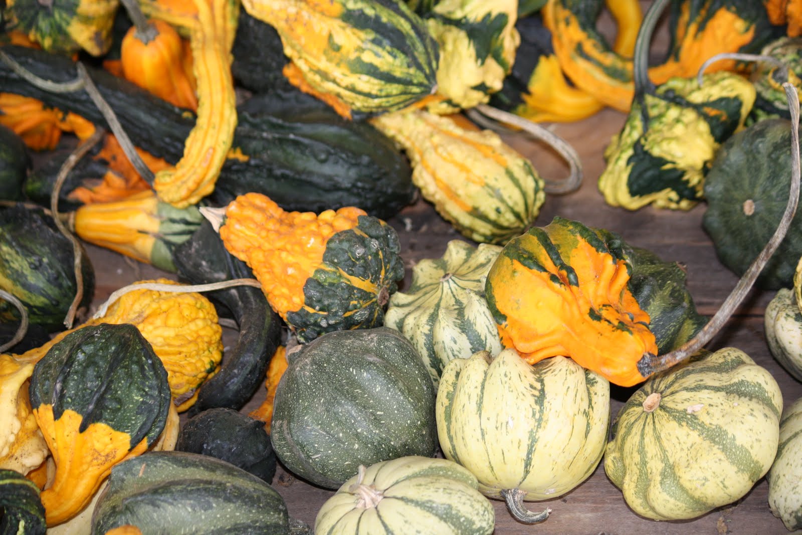 Country Cathy: Corn husk angels, twig stars, and pumpkins