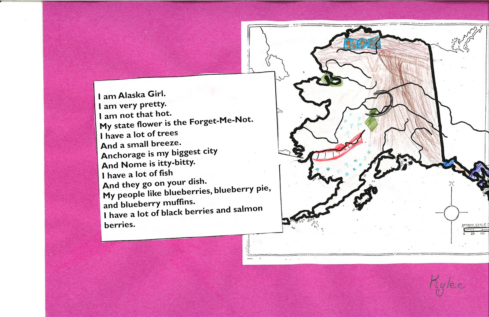Mr. McRae's 4th Grade Blog: Alaska Guy Poems I