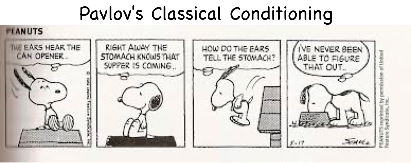 Paradoxical Parenting: Responsibility and Choice