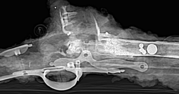 A Woodsrunner's Diary: What Do You See Here?