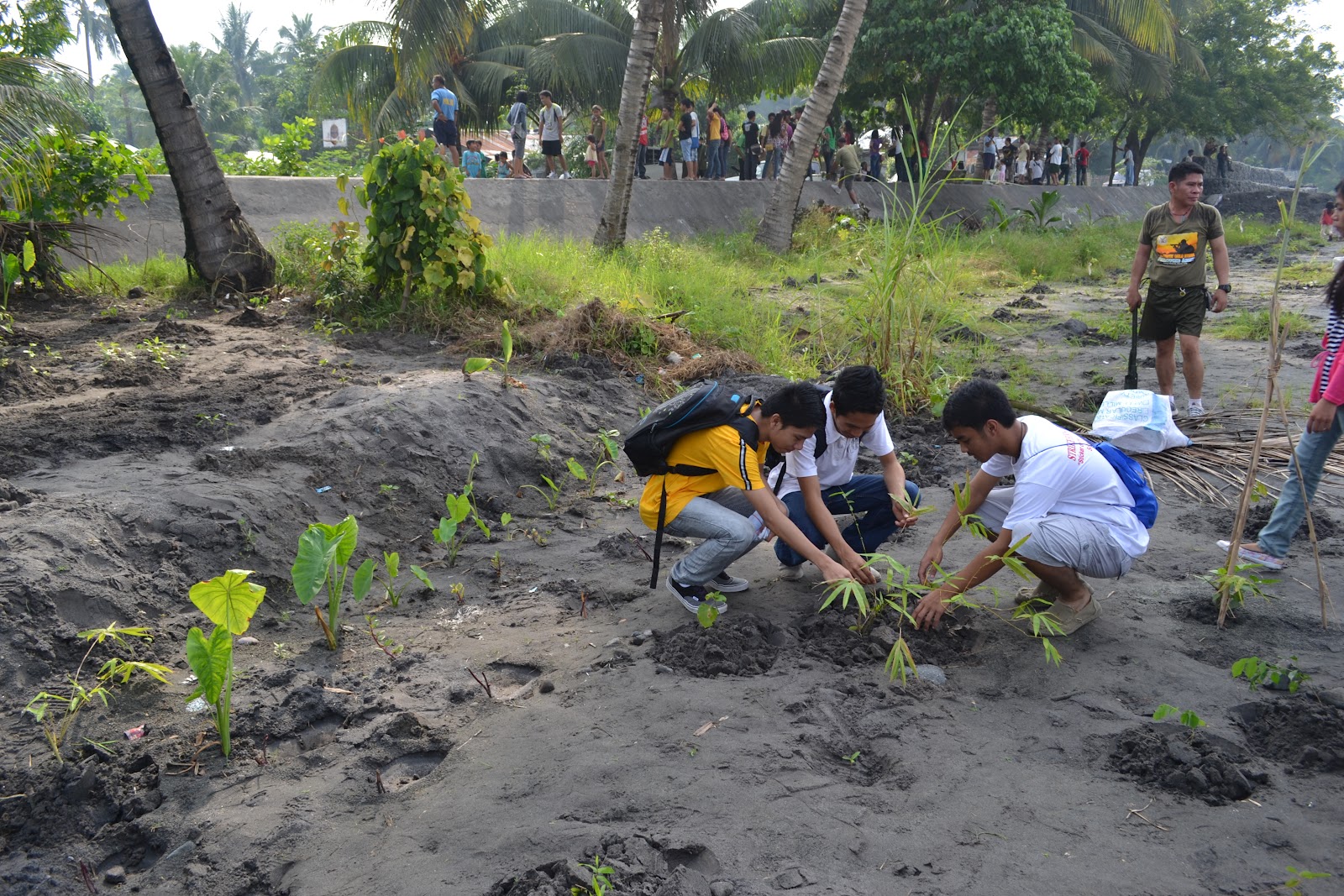 SOCSARGEN PEACE AND DEVELOPMENT PORTAL: STEWARDSHIP & CONVERGENCE ...