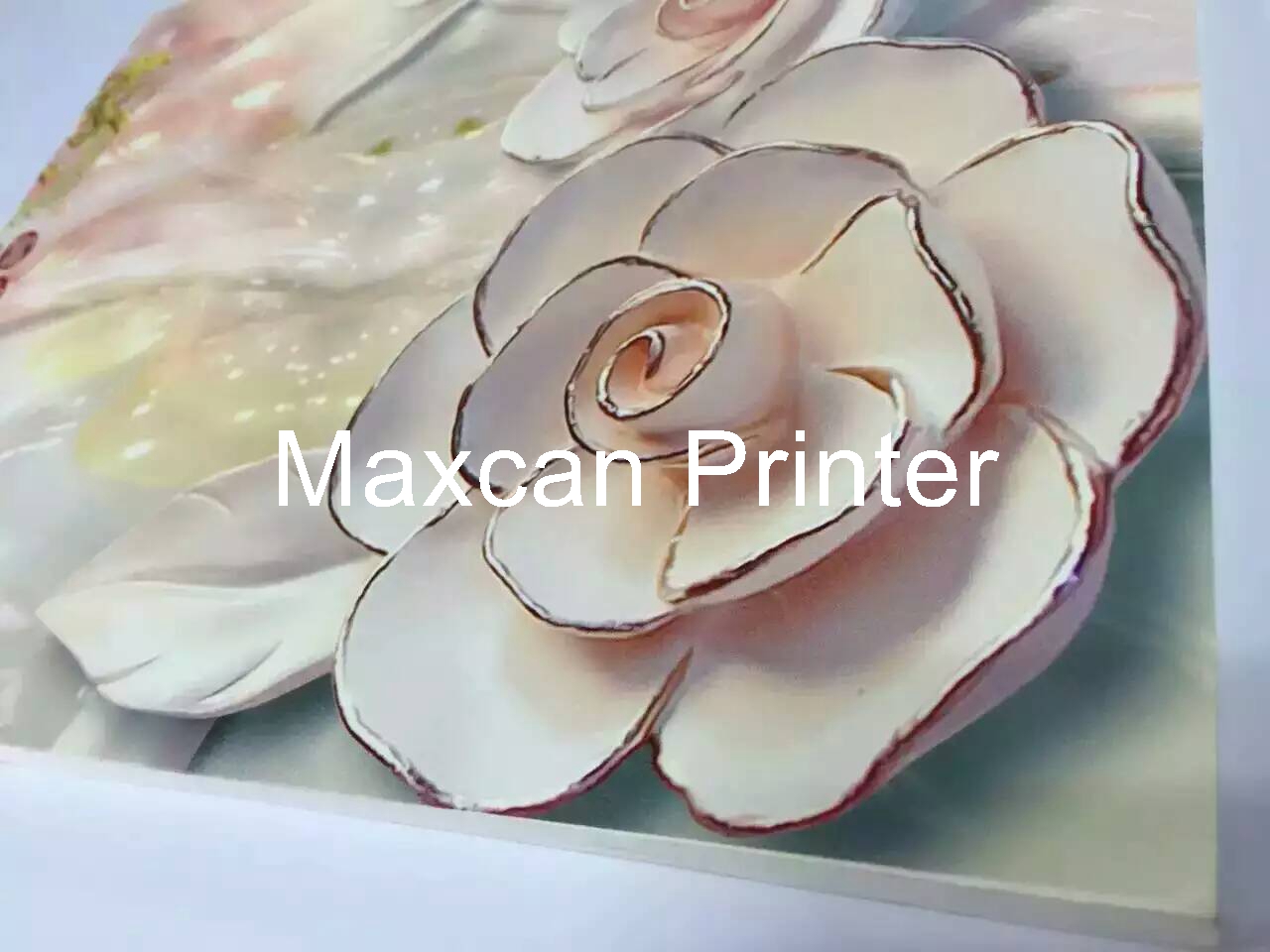 China Color Printing Machine: Maxcan Ceramic tile Printing Machine