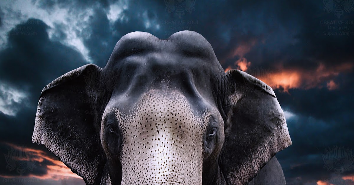 Supun Wirajith: Nadungamuwa Raja