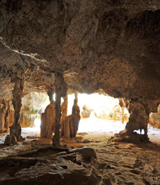 Best of Aruba | Travel | Before It's News