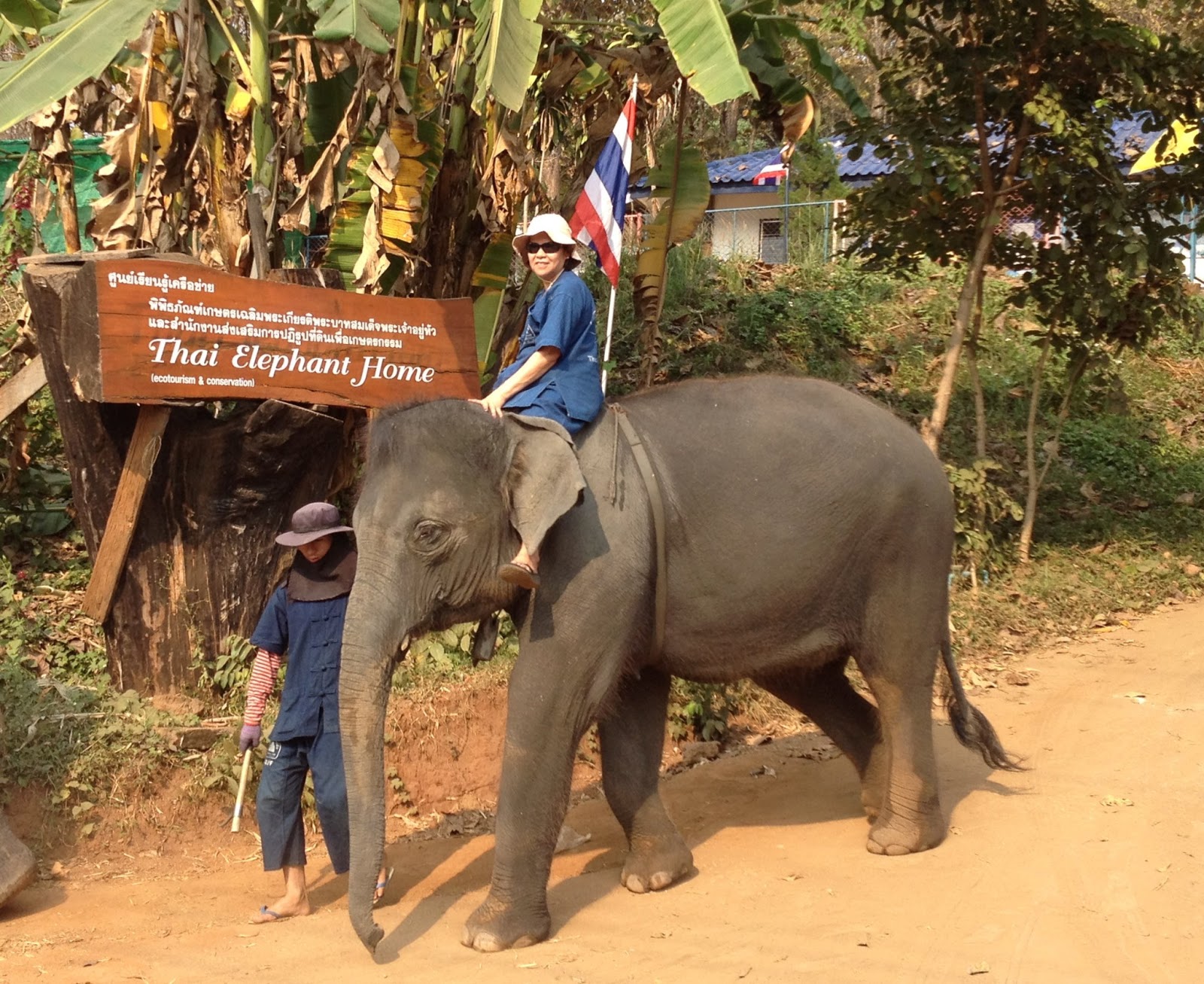 Northern Thailand: Elephant Riding