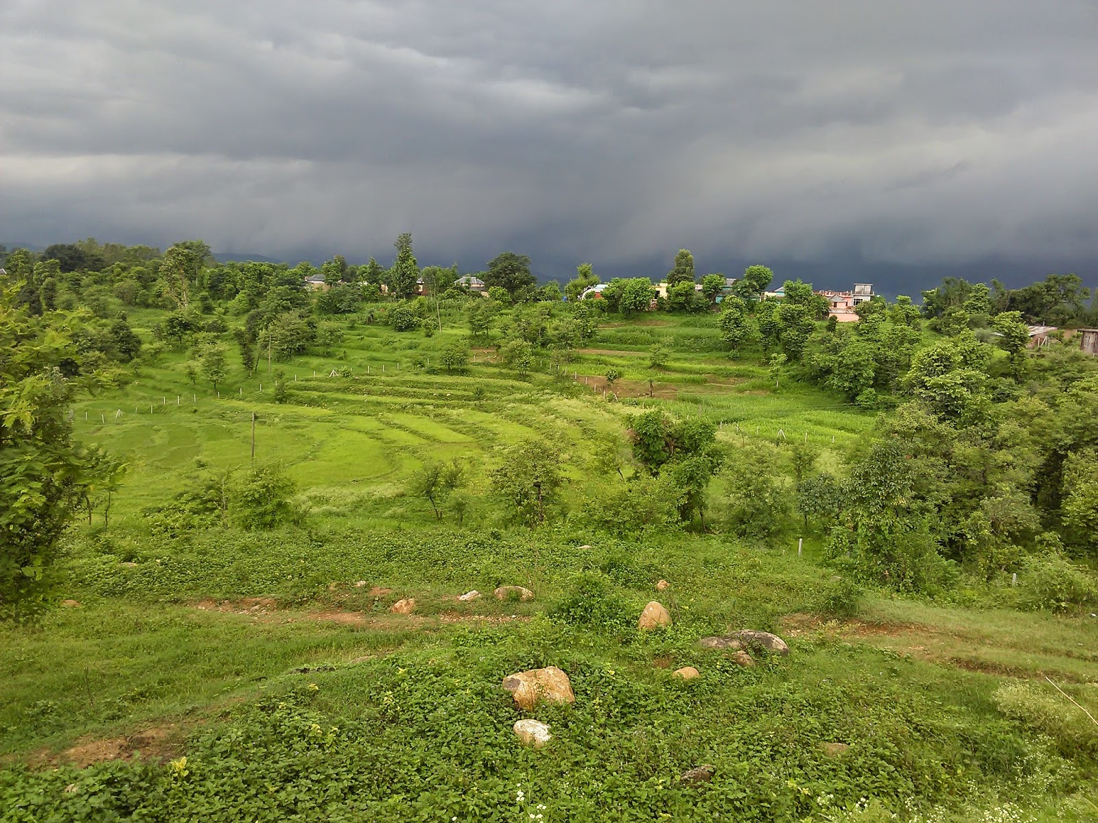 Dunera Punjab : Dunera -Punjab