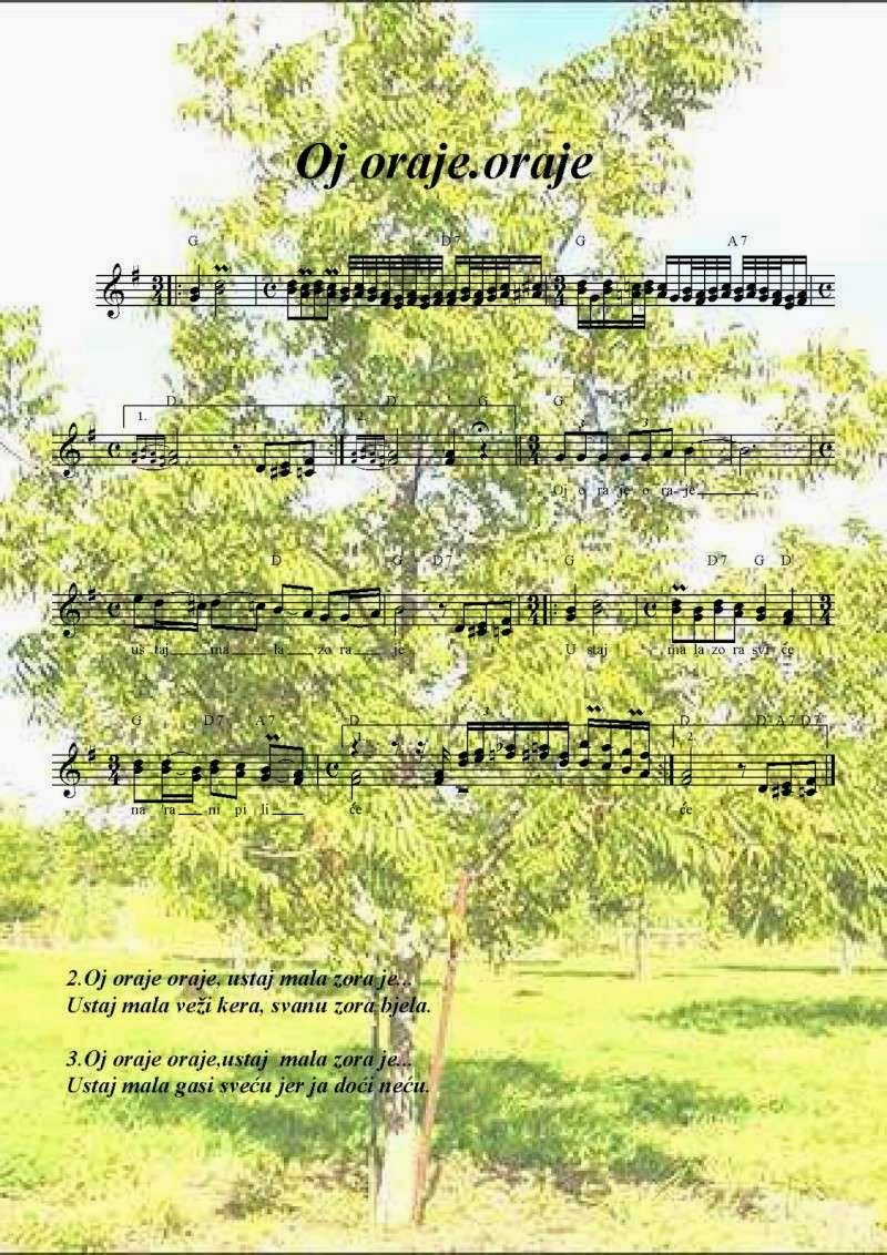 Scores for Balkan music Note za Harmoniku Violinu