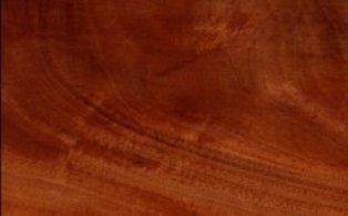 MOGNO (MAHOGANY) - O REI DA LES PAUL