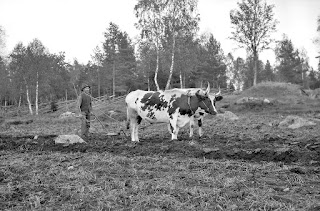 History in Photos: Vintage Sweden