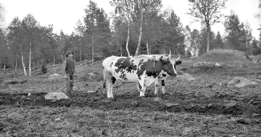 History in Photos: Vintage Sweden