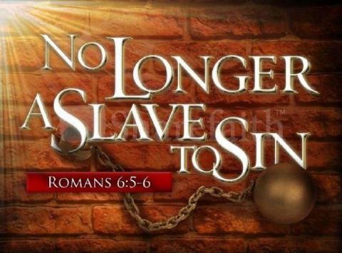 CGSJ (Come Get Some Jesus): "So if the Son sets you free, you will be ...