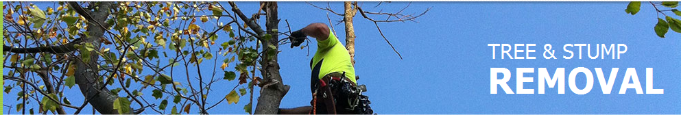 Ross Trevor Tree Services