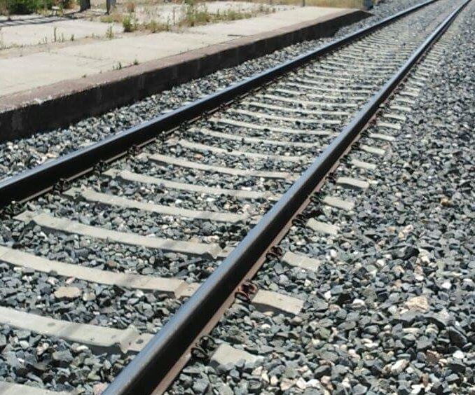 PhotoGatu: Esquema compositivo diagonal