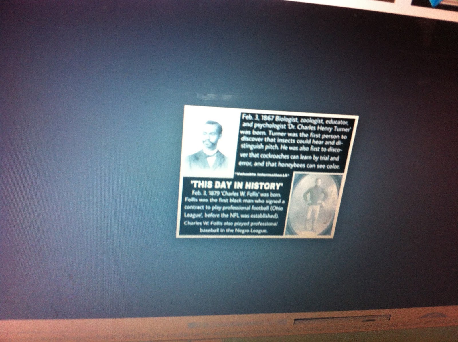 THE BLACK SOCIAL HISTORY:: BLACK SOCIAL HISTORY : AFRICAN AMERICAN ...